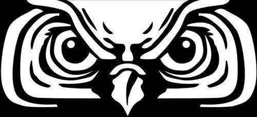 Wende Rae Photography