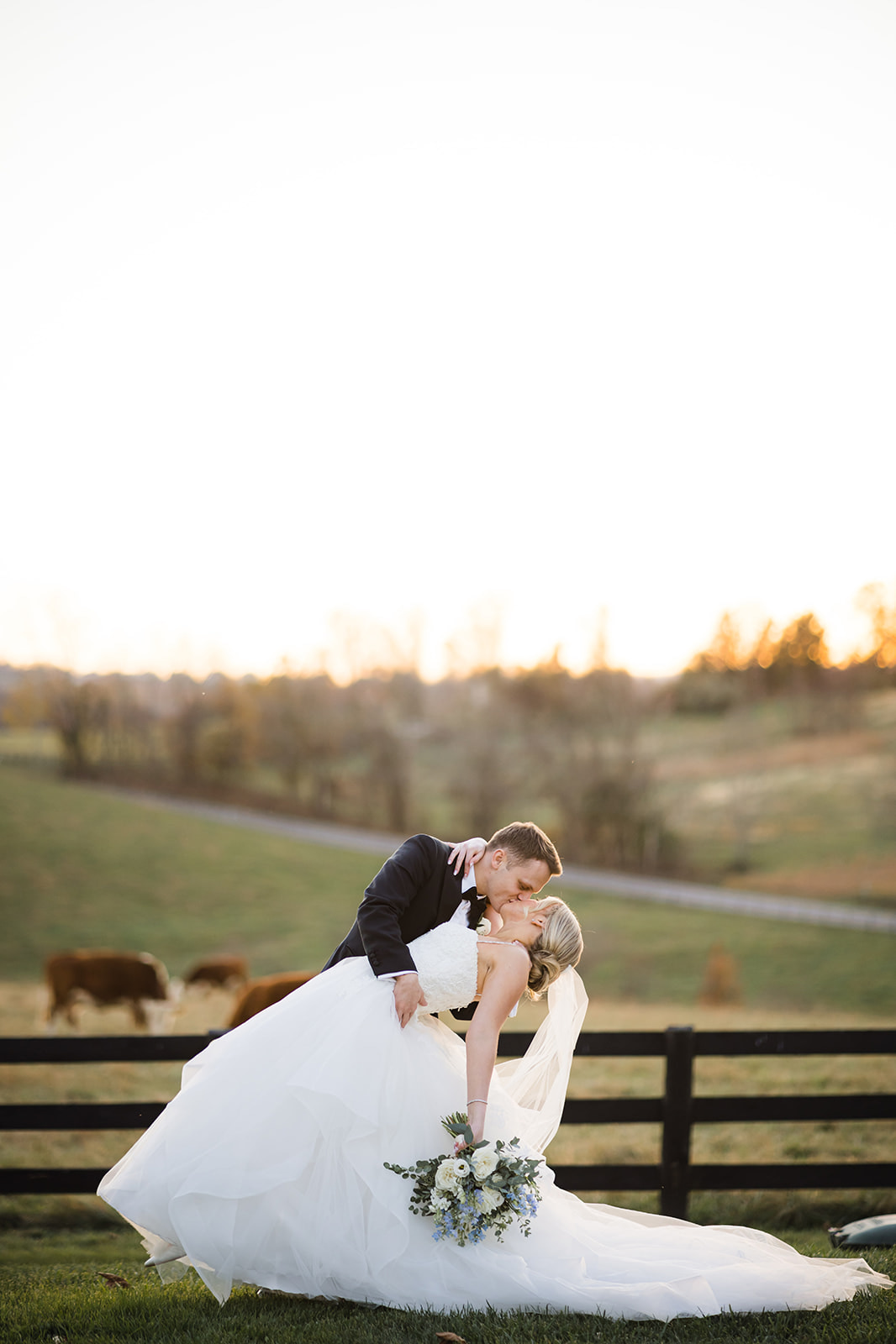 Carly & Jay: Wedding