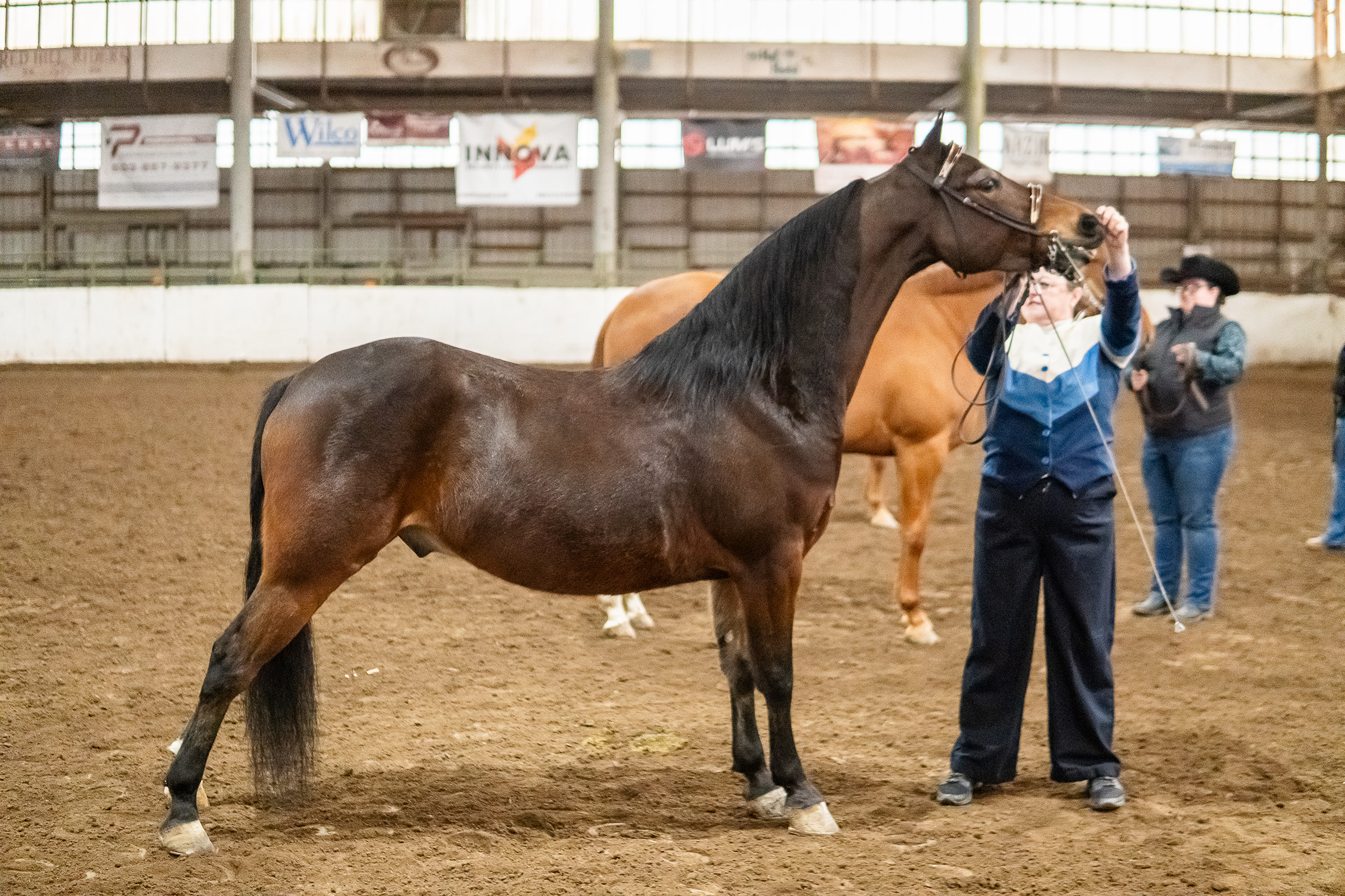 The Pony Photographer